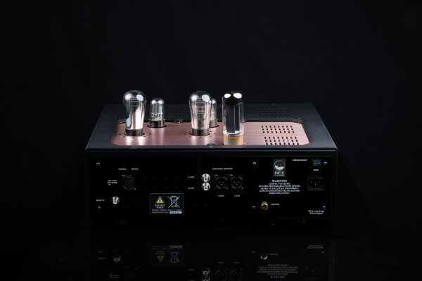 SW1X DAC V - SW1X Audio Design