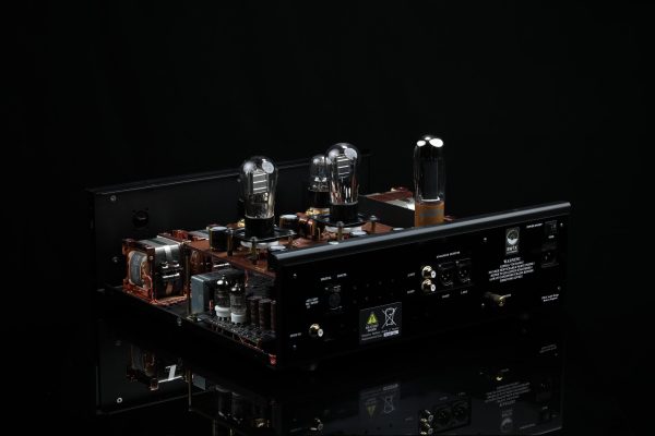 SW1X DAC V - SW1X Audio Design