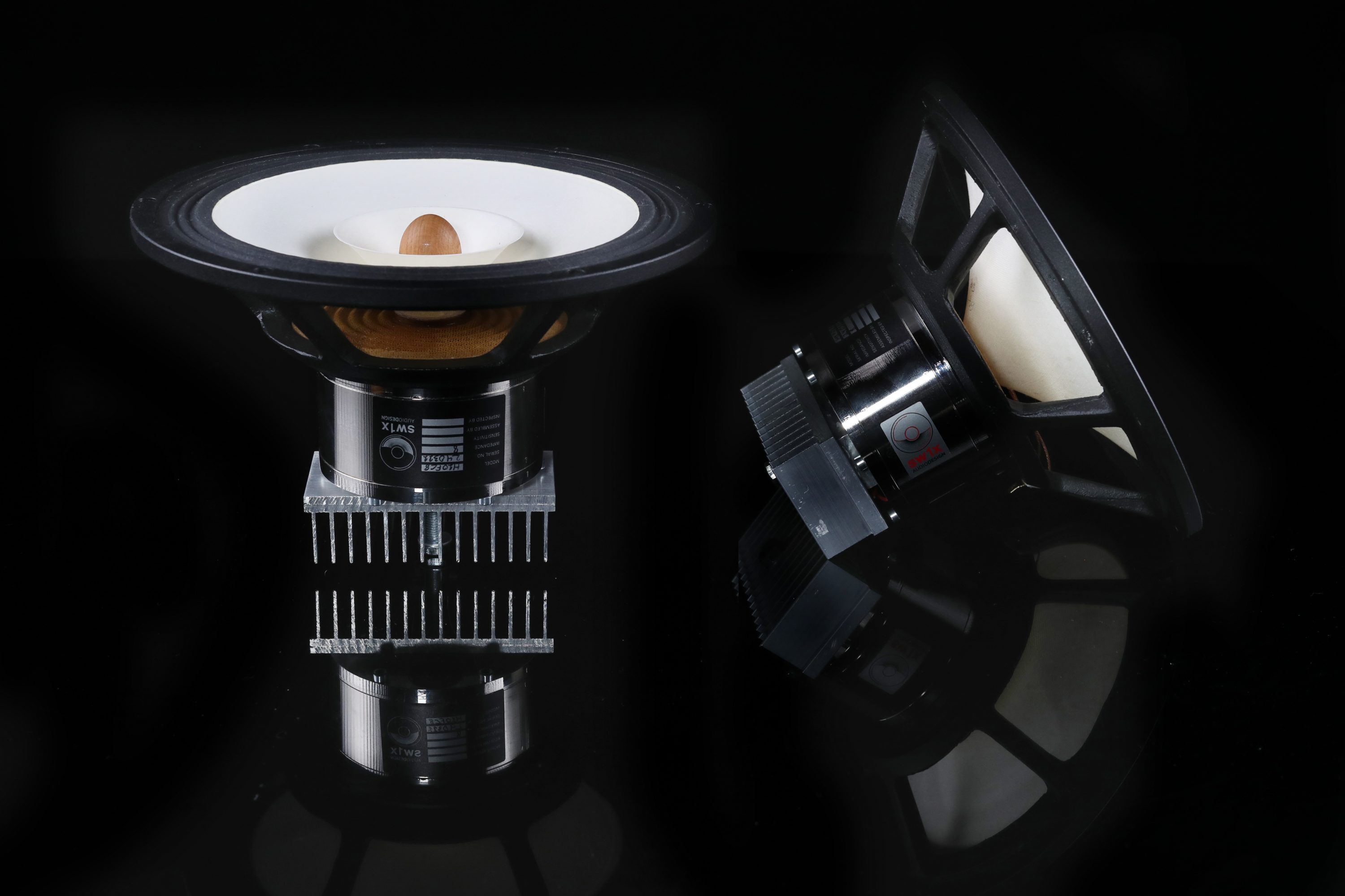 Introduction to Field Coil Speakers - SW1X Audio Design